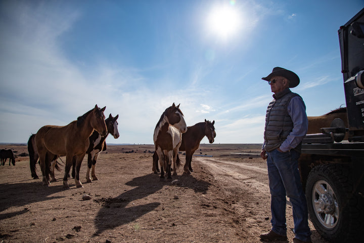 Frontier Rodeo Swag – Frontier Rodeo Company