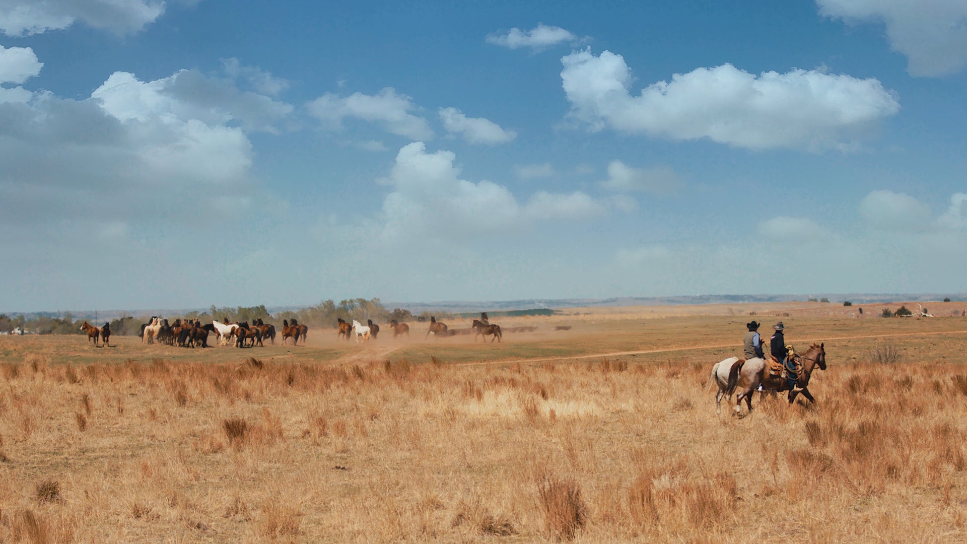 Staff – Frontier Rodeo Company